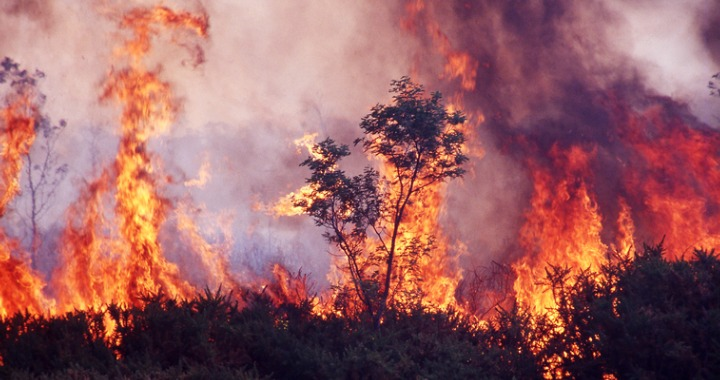 Australia warned of destructive bushfires