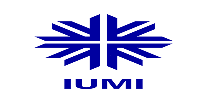 IUMI affirms continued backing for Red Sea